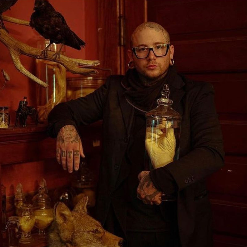 Artists – AllPedal